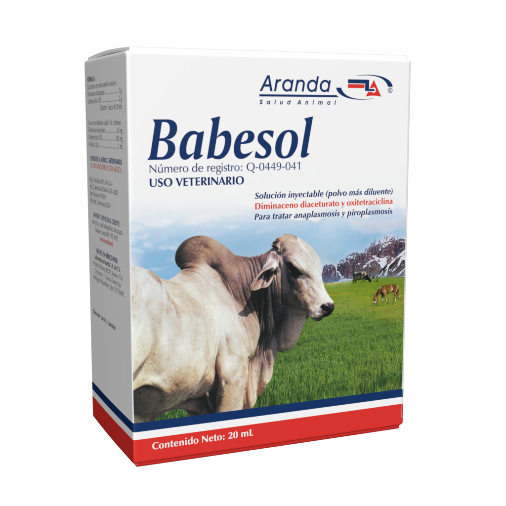 Catálogo – Aranda Mx