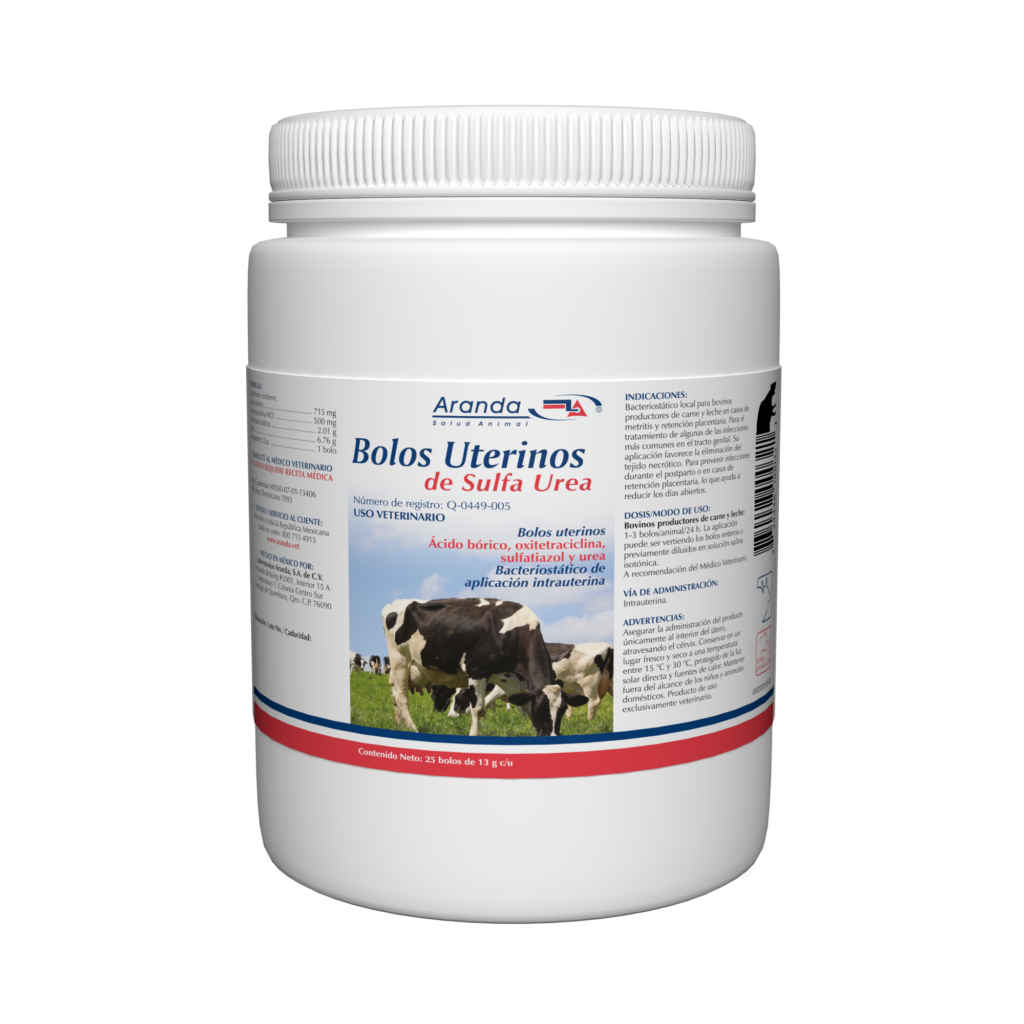 Gatos Malhados Diluidos