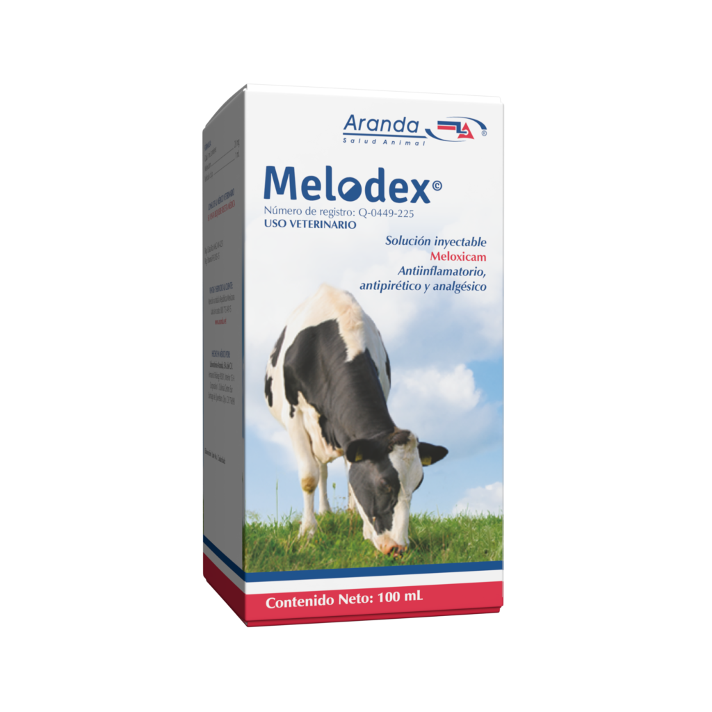 Melodex – Aranda Mx