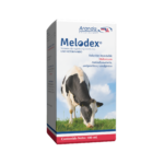 Melodex – Aranda Mx