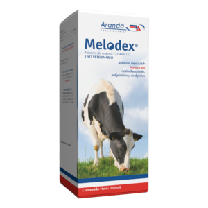 Melodex – Aranda Mx